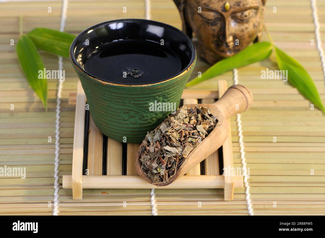 Steamed (Radix (gastropod) ) Rhubarb Root, Rhubarb Root Tea et Rhizoma ...