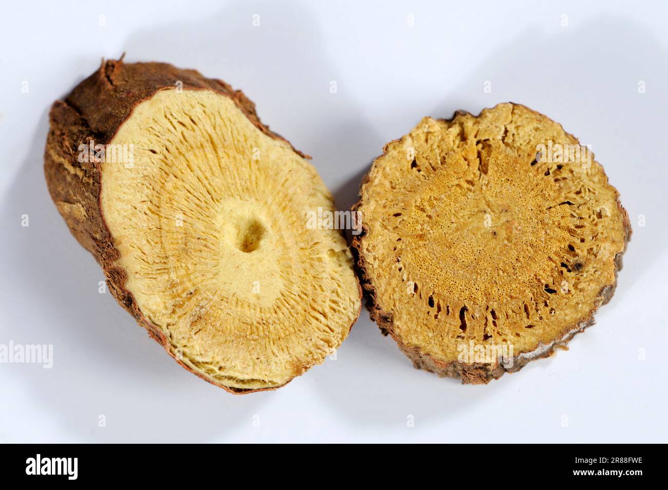 Ural licorice root (Glycyrrhizae Radix), Gan Cao, Ural-xc, free ...