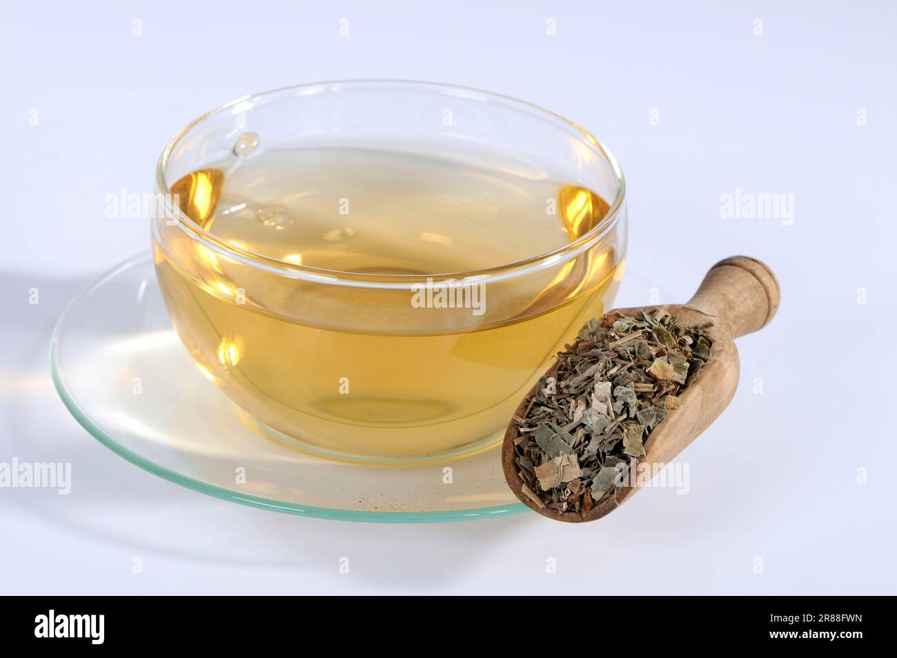 Steamed (Radix (gastropod) ) Rhubarb Root, Rhubarb Root Tea et Rhizoma ...