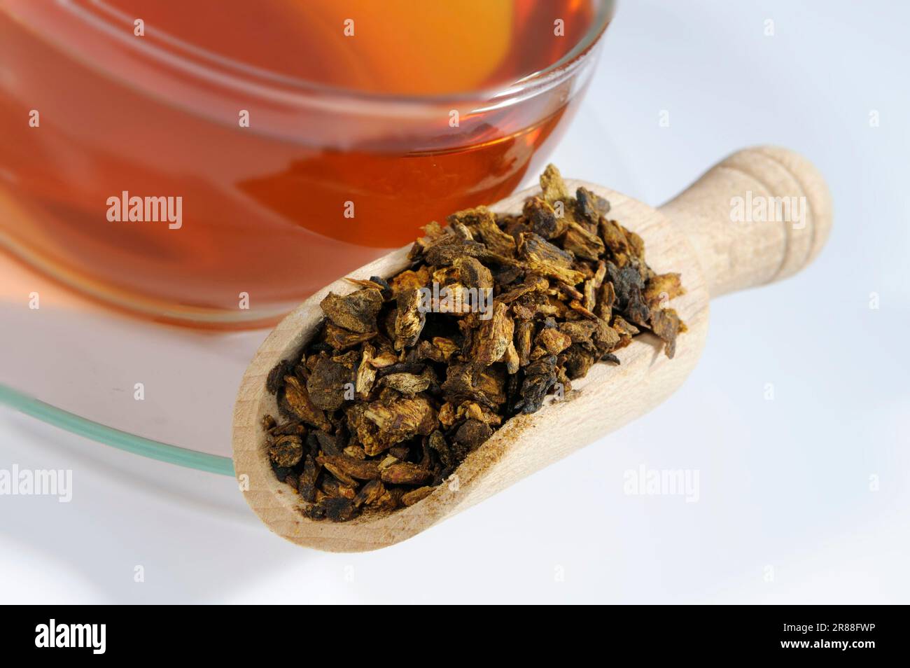 Steamed (Radix (gastropod) ) Rhubarb Root, Rhubarb Root Tea et Rhizoma ...