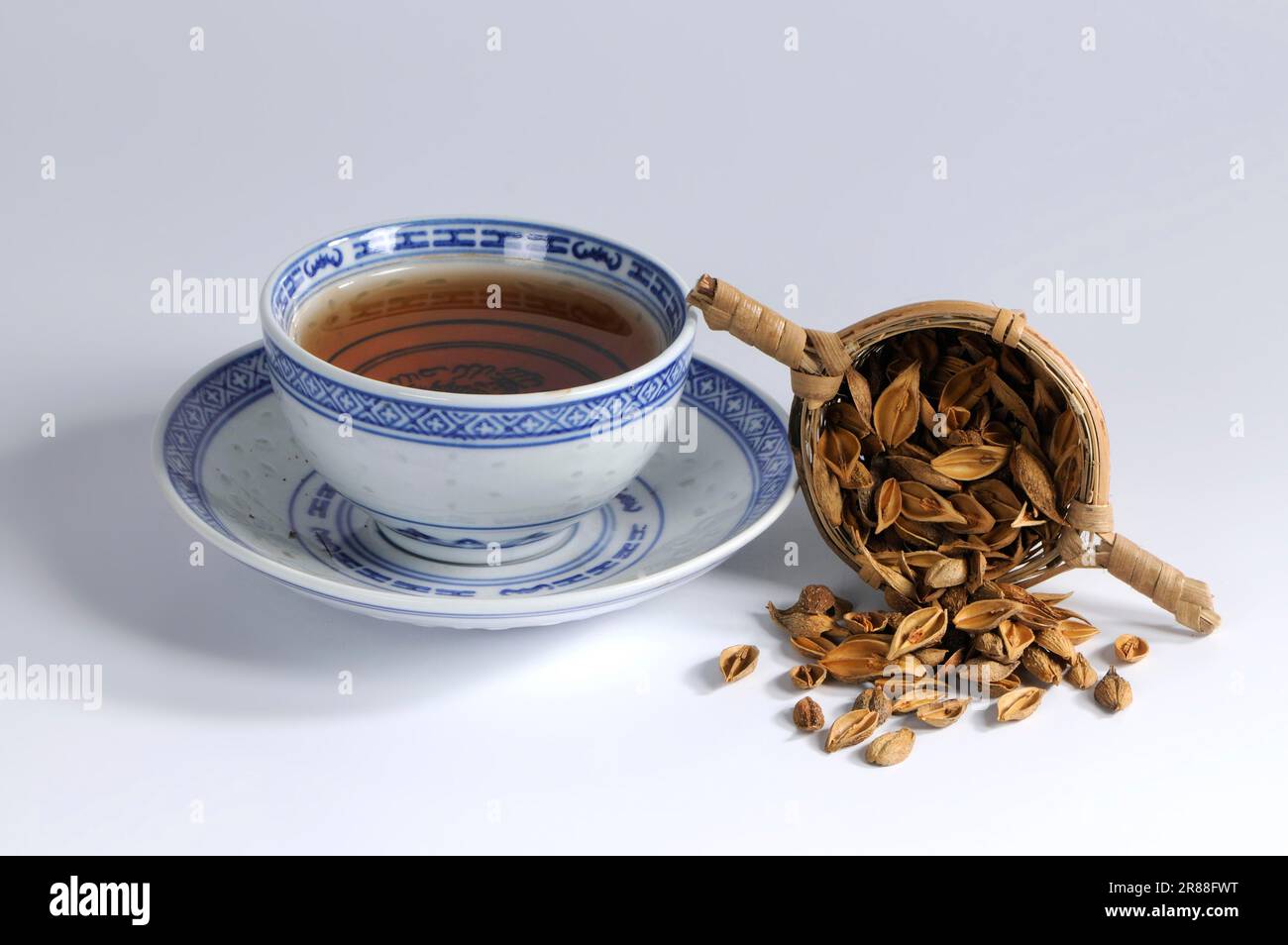 Cup of Forsythia Fruit Tea (Forsythiae Fructus) (Forsythia suspensa ...