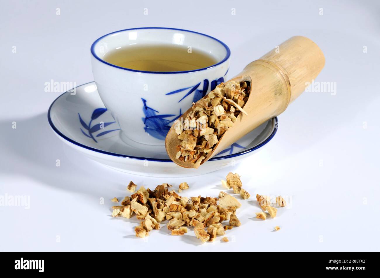 Rhizoma rhizome hi-res stock photography and images - Alamy