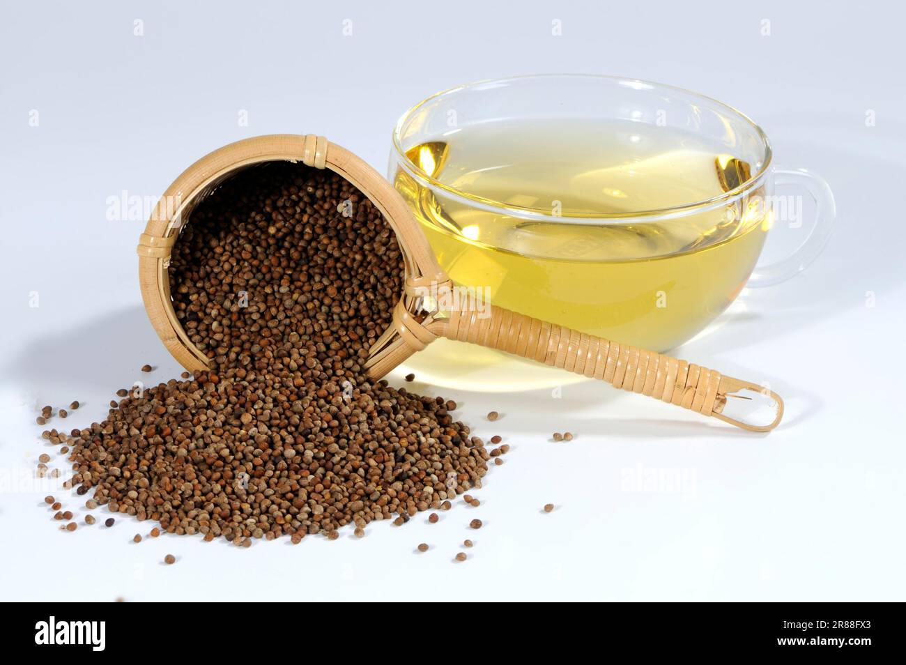 Cup of Black Nettle Fruit Tea (Perillae Fructus), Zi Su Zi, Black ...