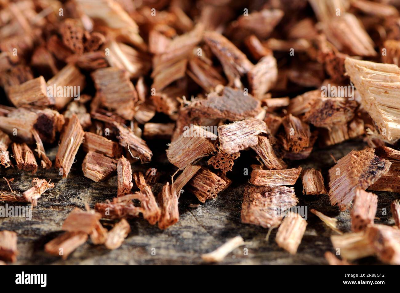 Chicken Blood Stem (Spatholobi Caulis), Ji Xue Teng, Chicken Blood Stem ...
