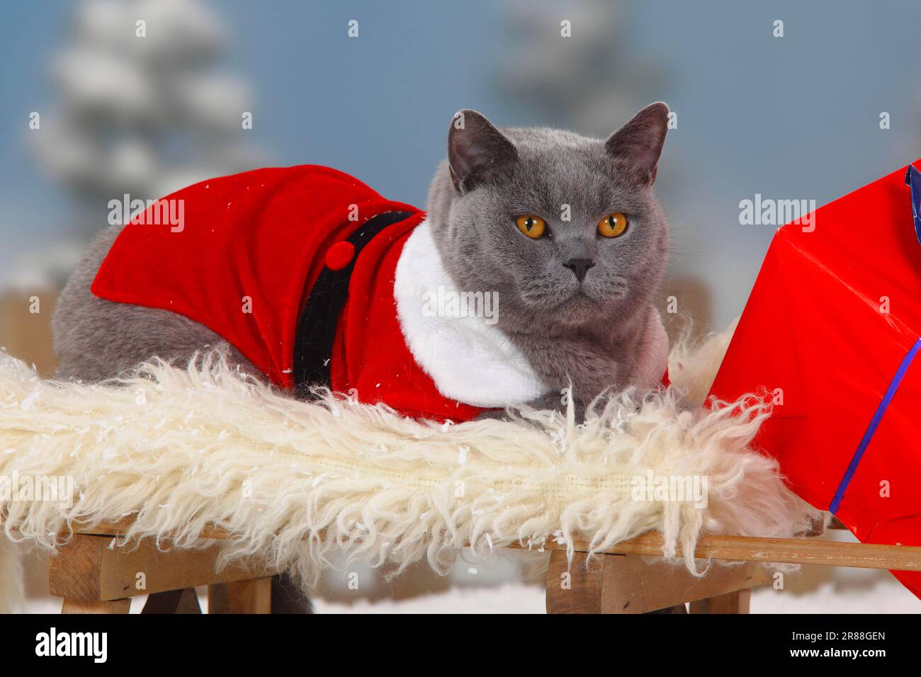 Father christmas blue costume hi-res stock photography and images - Alamy