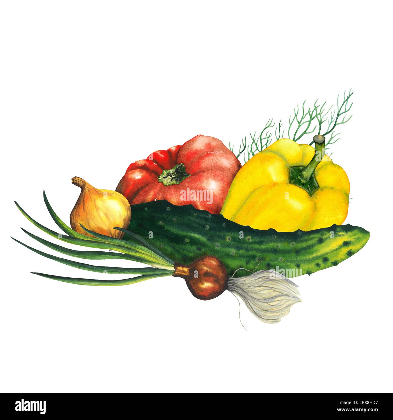 Watercolor vegetables composition with tomato, cucumber, green onion ...