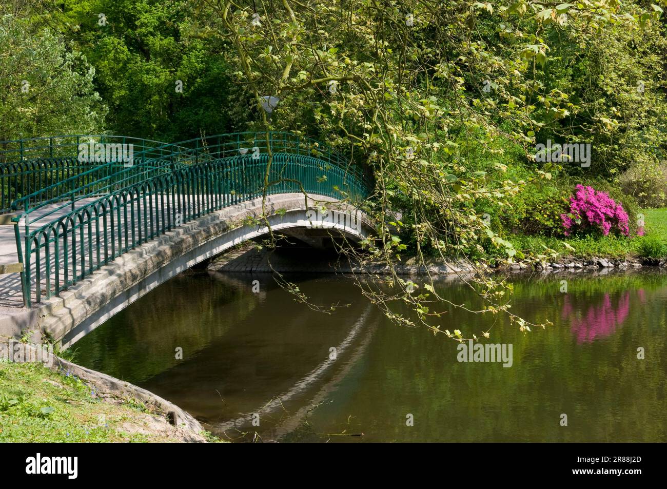 Rombergpark botanical garden hi-res stock photography and images - Alamy