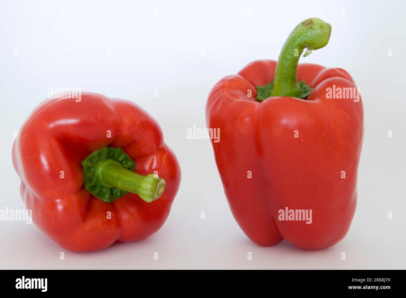 Red Pepper fruits (Capsicum annuum Stock Photo - Alamy