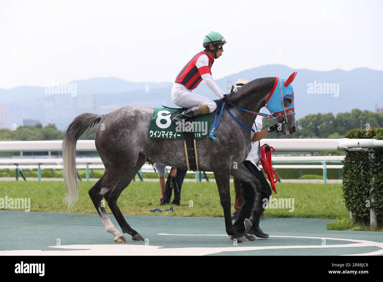Hyogo, Japan. 18th June, 2023. 2023/06/18 HANSHIN 11R THE MERMAID ...