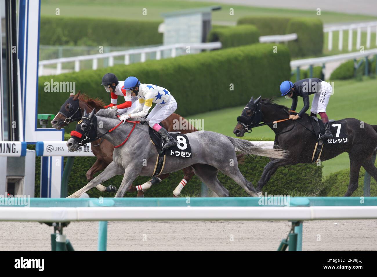 2023/06/18 HANSHIN 10R NADA STAKES 2 / Danon Bullet / Hideaki Miyuki ...