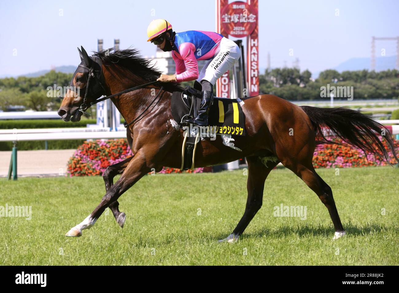 Hyogo, Japan. 17th June, 2023. 2023/06/17 HANSHIN 11R YONAGO STAKES ...