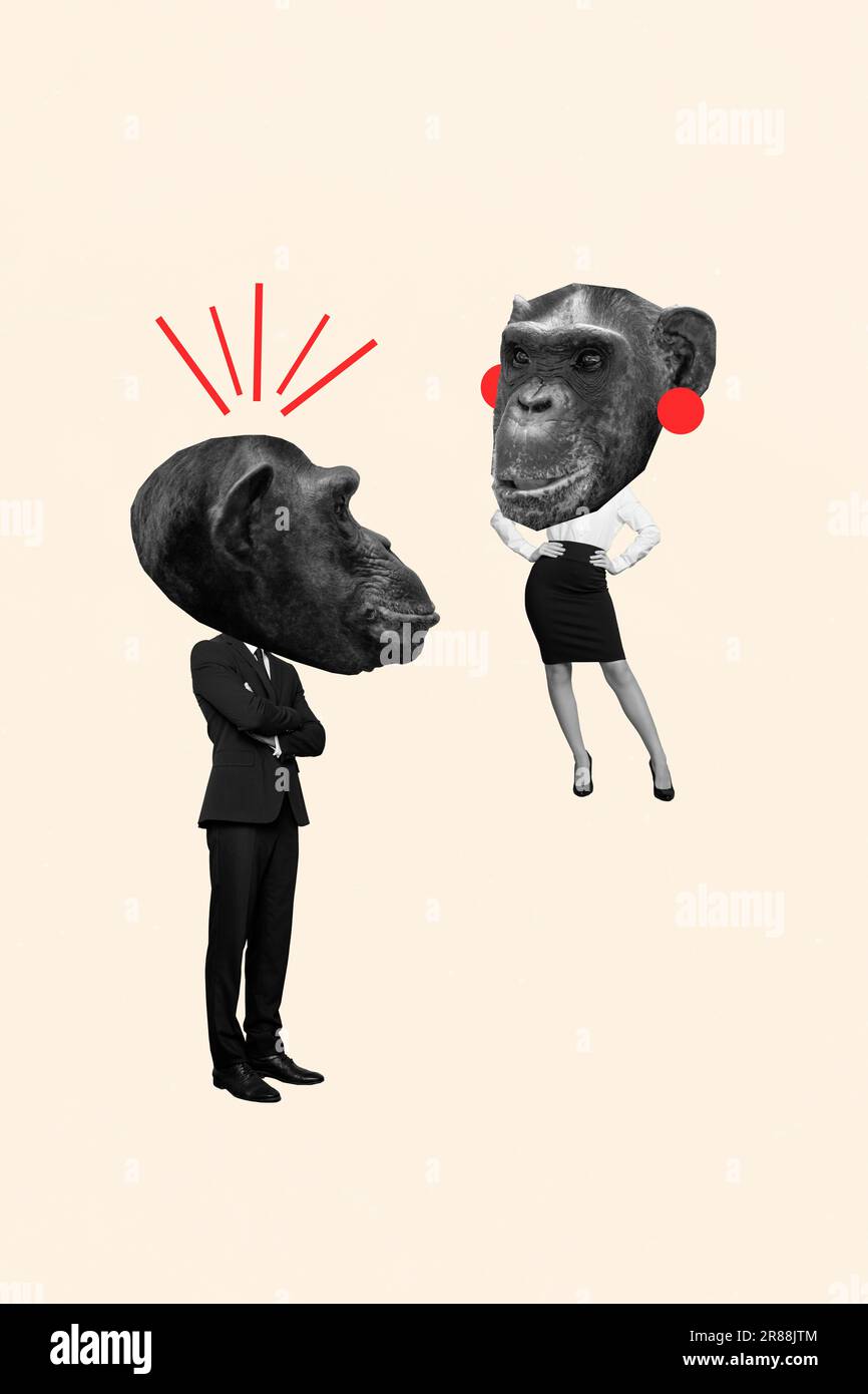 Creative graphics collage image of funky working colleagues chimp heads ...
