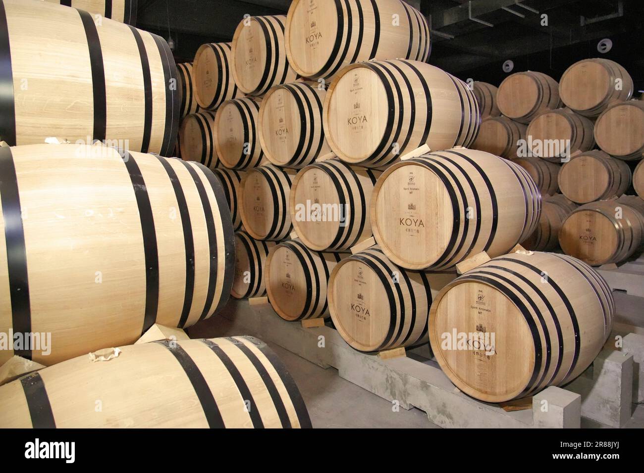 A view of the oak barrels in the basement of Changyu Winery, China's ...