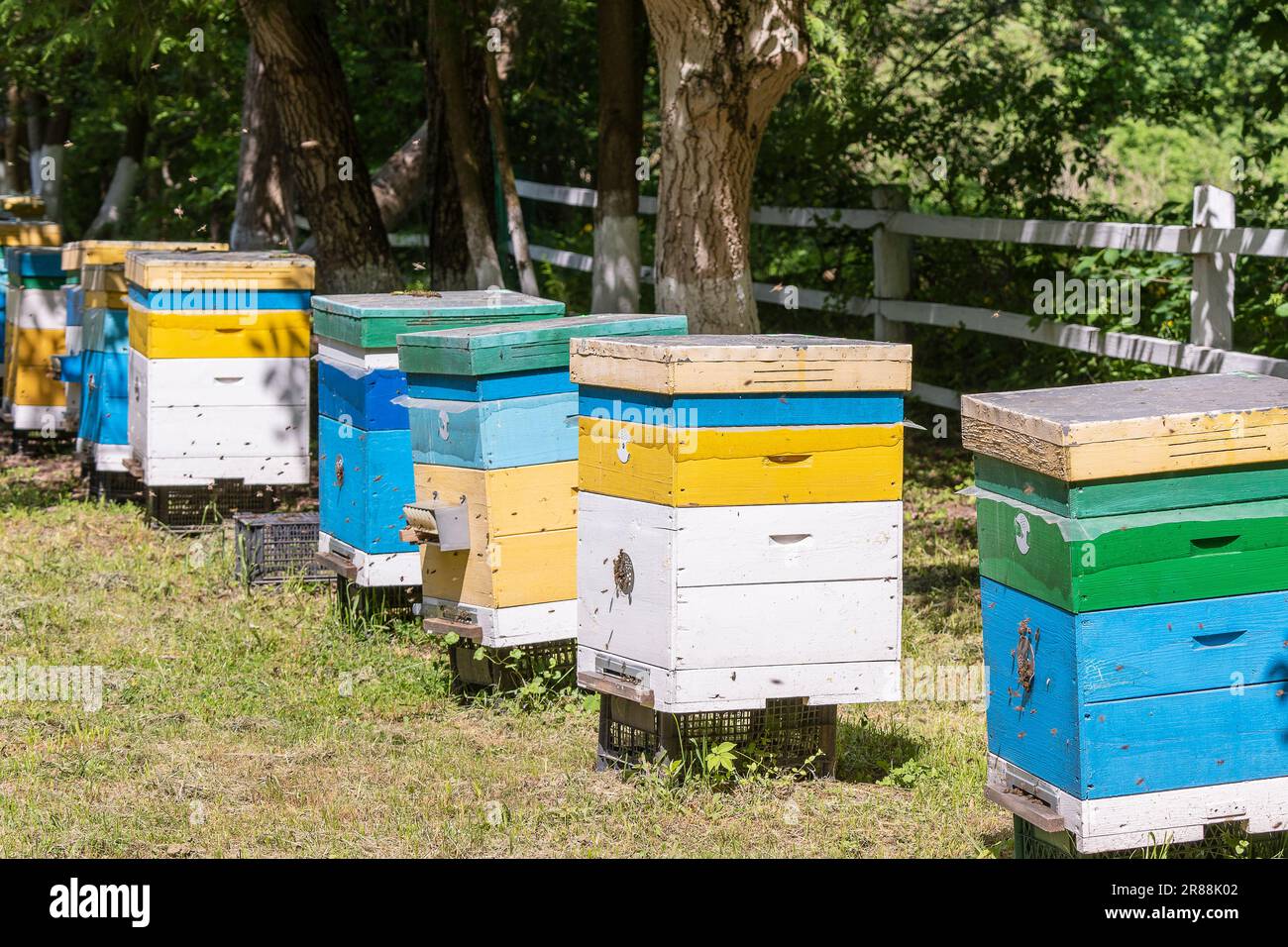Small entrance to the bee hive hi-res stock photography and images - Alamy