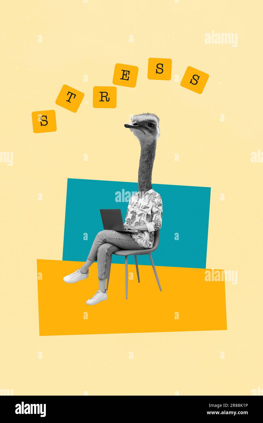 Collage artwork of beak head lady hawing stress important work modern ...