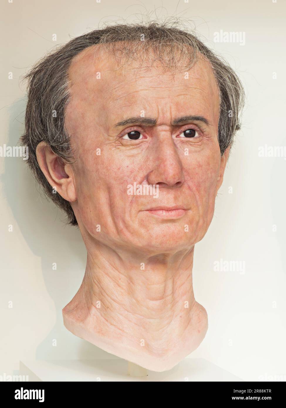 Human face reconstruction hi-res stock photography and images - Alamy