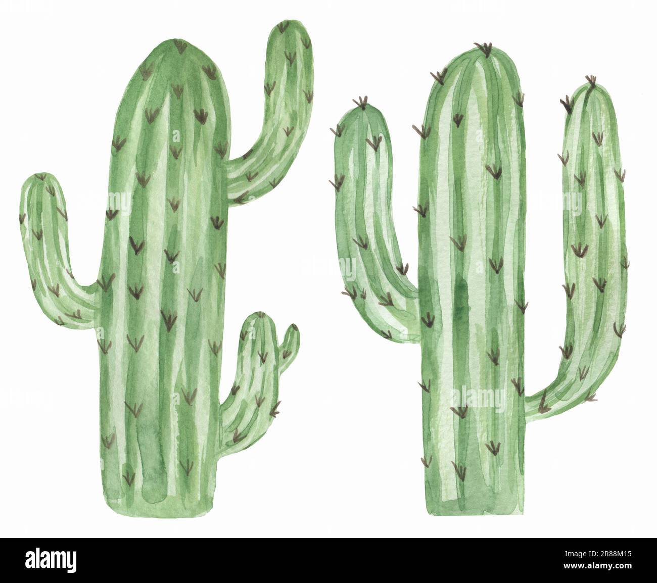 Mexico baja and cactus Cut Out Stock Images & Pictures - Alamy