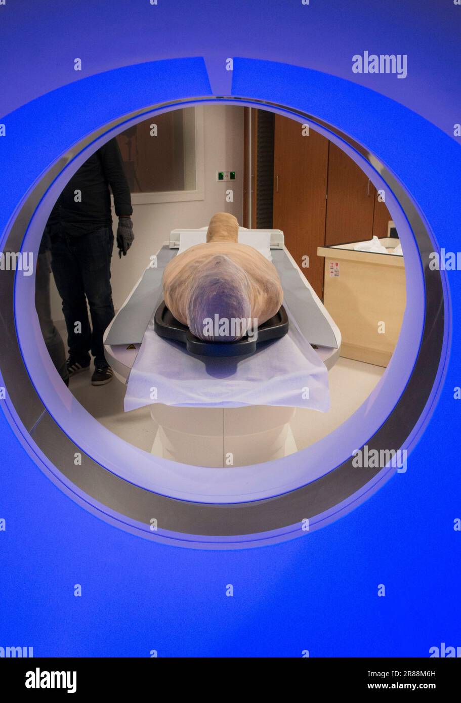Ct scan of tutankhamun mummy skull hi-res stock photography and images ...