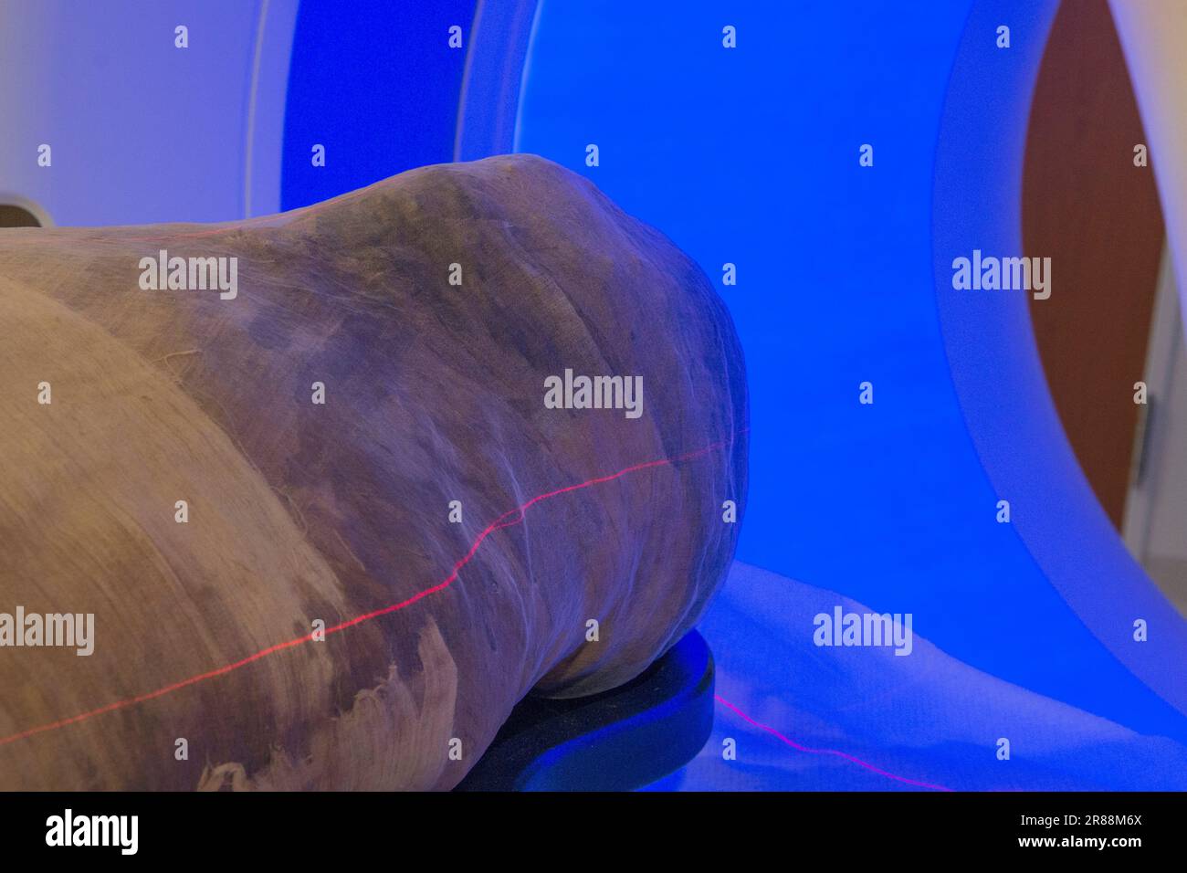 Ct scan of tutankhamun mummy skull hi-res stock photography and images - Alamy