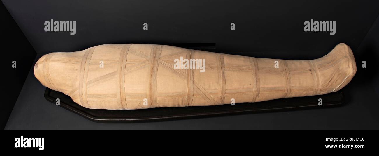 Female mummy hi-res stock photography and images - Alamy