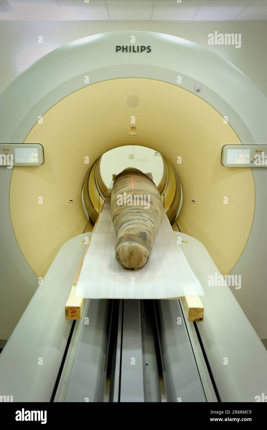 King tut ct scan hi-res stock photography and images - Alamy