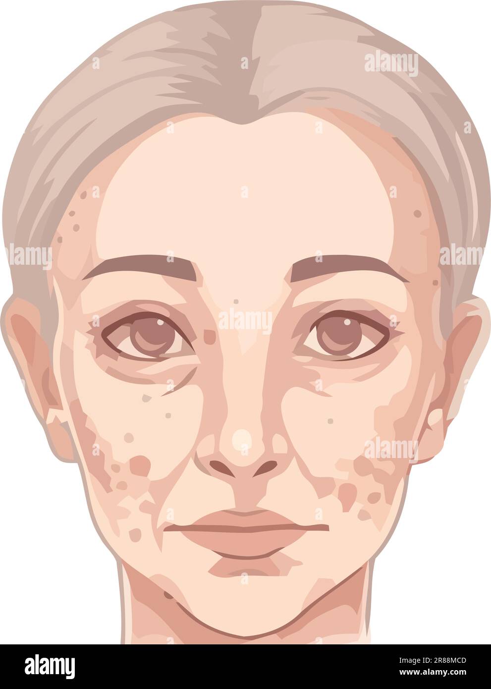 Middle age woman face Stock Vector Images - Alamy