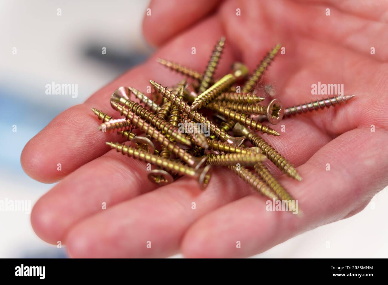 New carpentry screws in palm hi-res stock photography and images - Alamy