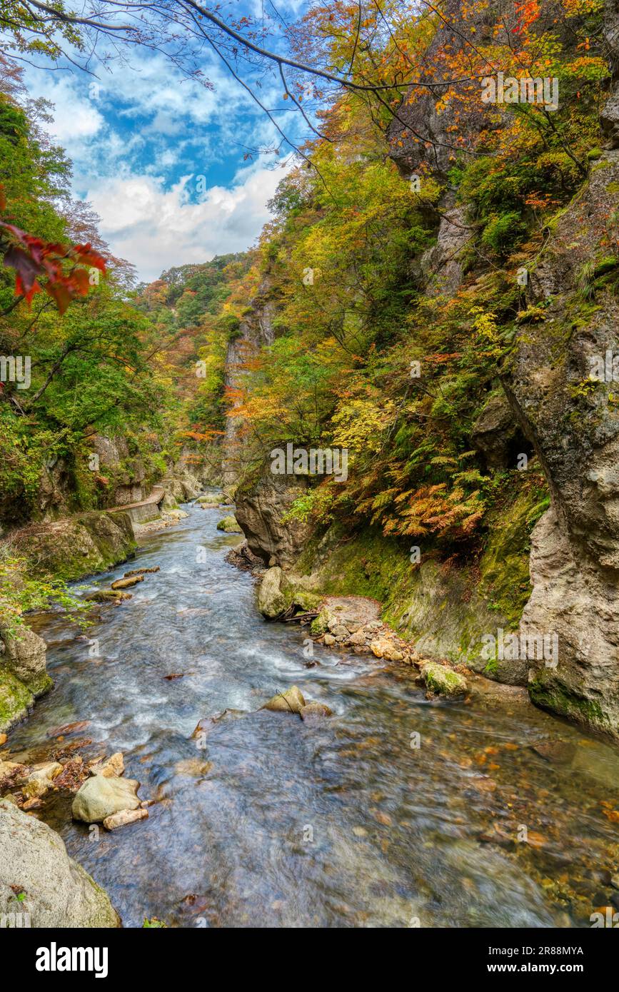 The Daiya River winds through Naruko Gorge in autumn surrounded by ...