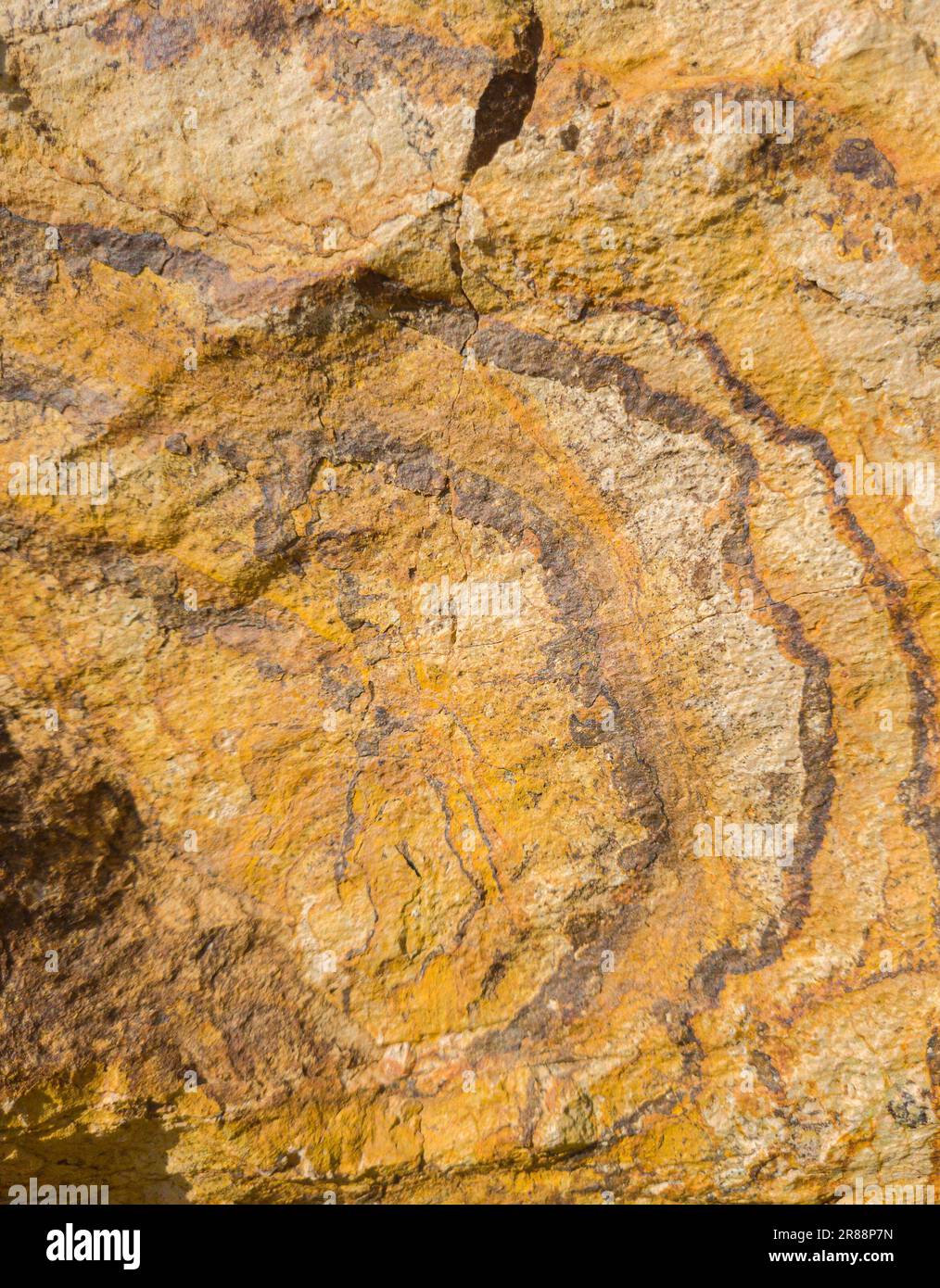 Surface of the rock. Natural texture Stock Photo - Alamy