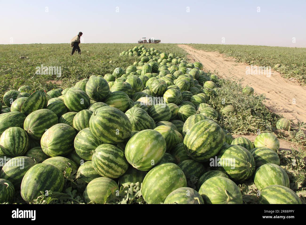 17th june 2023 hi-res stock photography and images - Alamy