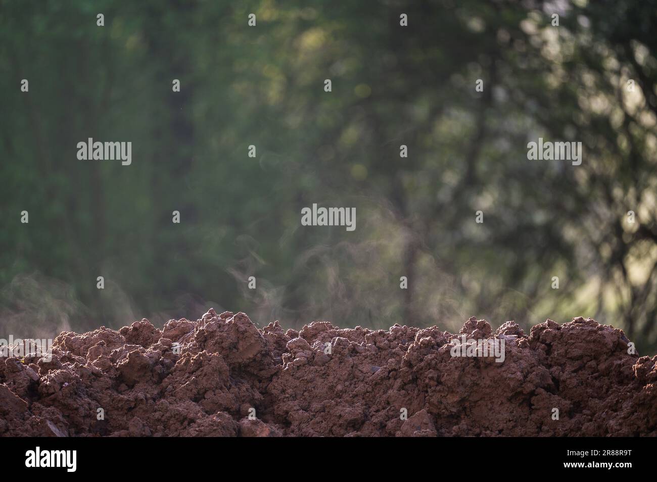 Fresh steaming earth soil in green nature Stock Photo - Alamy