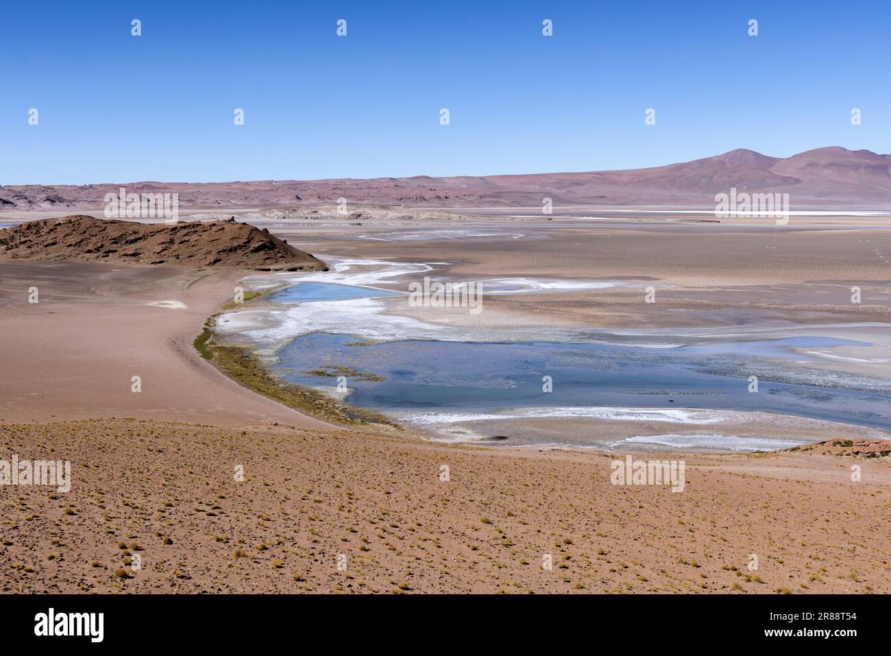 Driving through picturesque landscape at Paso de Jama, one of the most ...