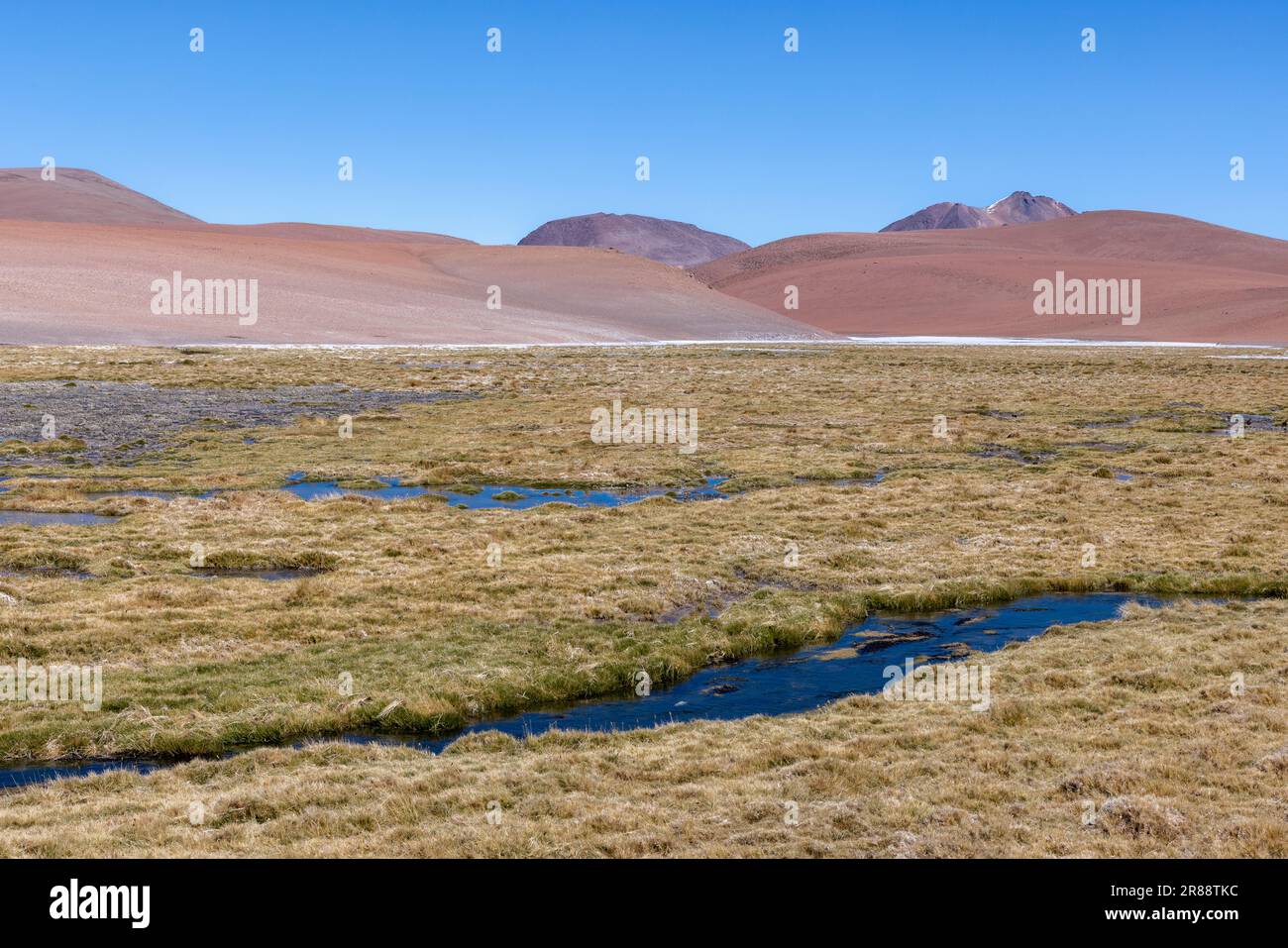 Driving through picturesque landscape at Paso de Jama, one of the most ...