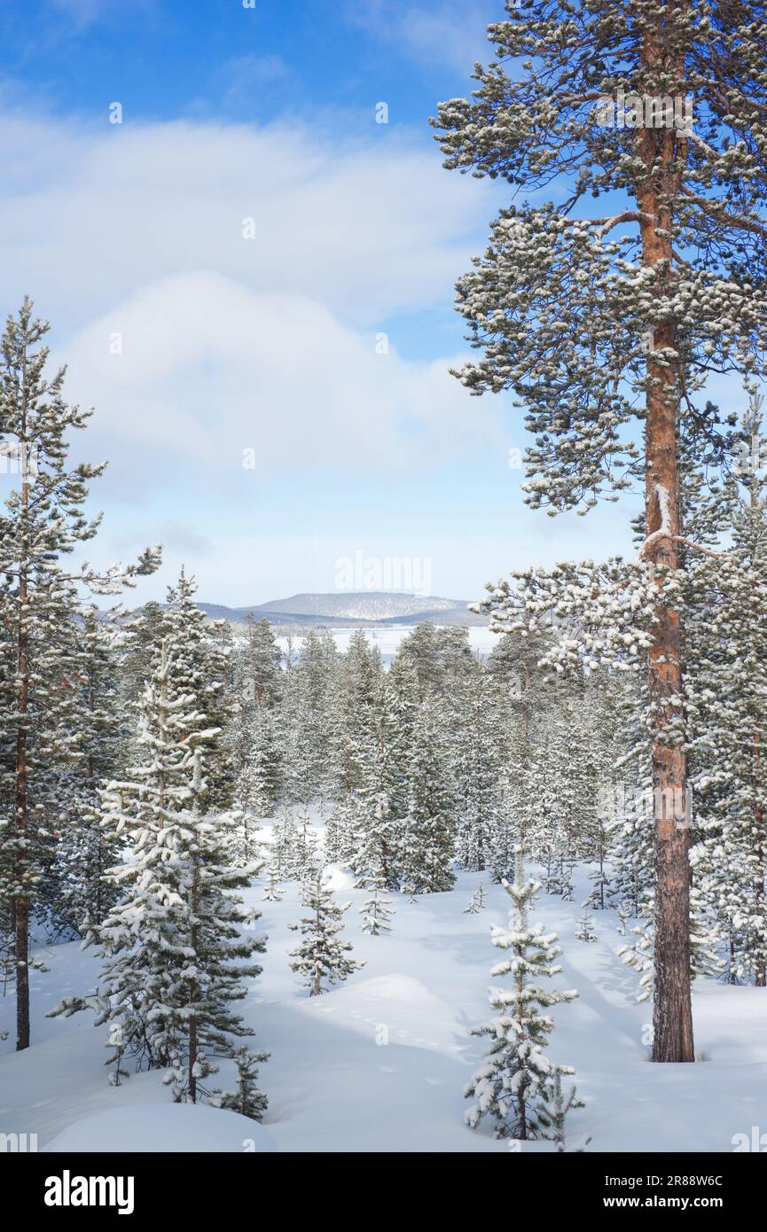 Winter landscape in Finnish Lapland. Frozen Lake Inari in the ...