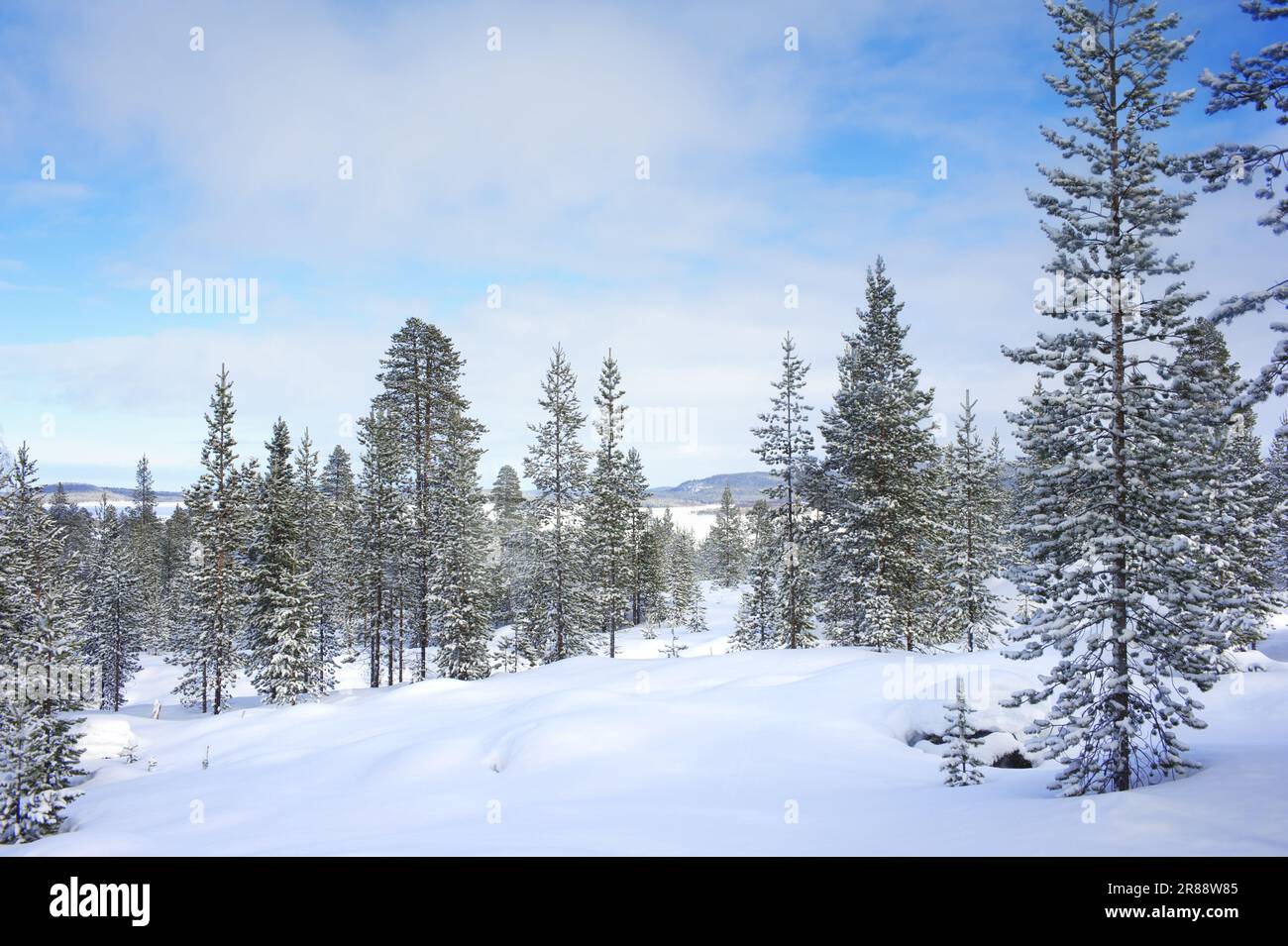 Winter landscape in Finnish Lapland. Frozen Lake Inari in the ...