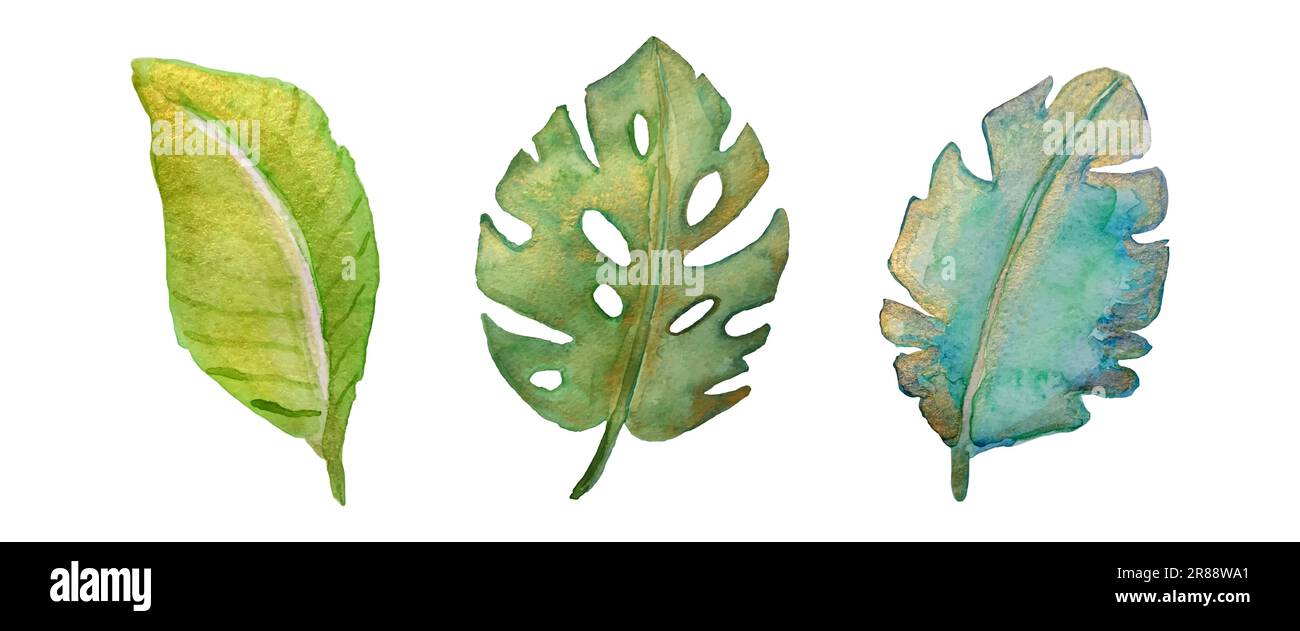 Tropical leaves set. Watercolor with gold. Vector illustration ...