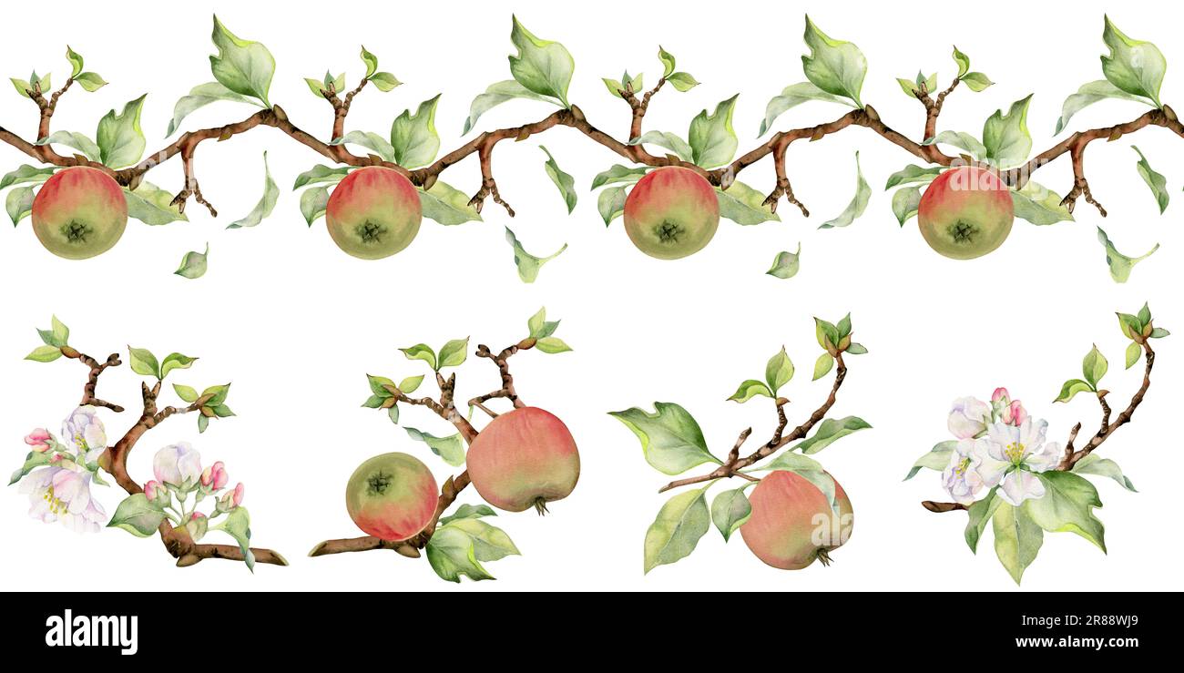 Hand drawn watercolor set with frames, wreaths and compositions. Apple ...