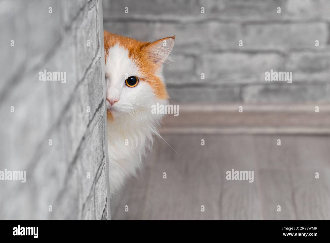 Peek around wall hi-res stock photography and images - Alamy