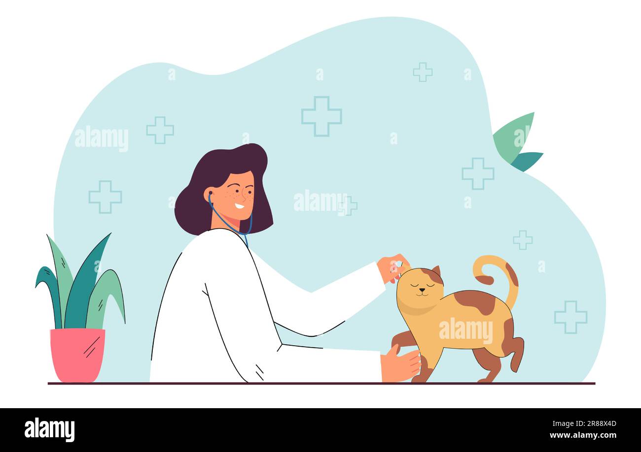 Cat health checkup by vet at veterinary clinic Stock Vector Image & Art ...