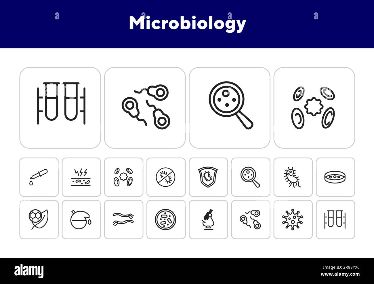 Plant cell microscope Stock Vector Images - Alamy