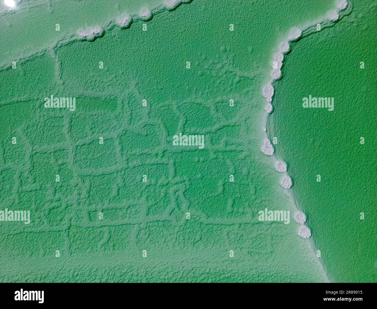 Lithium fields in the Atacama desert in Chile, South America - a ...