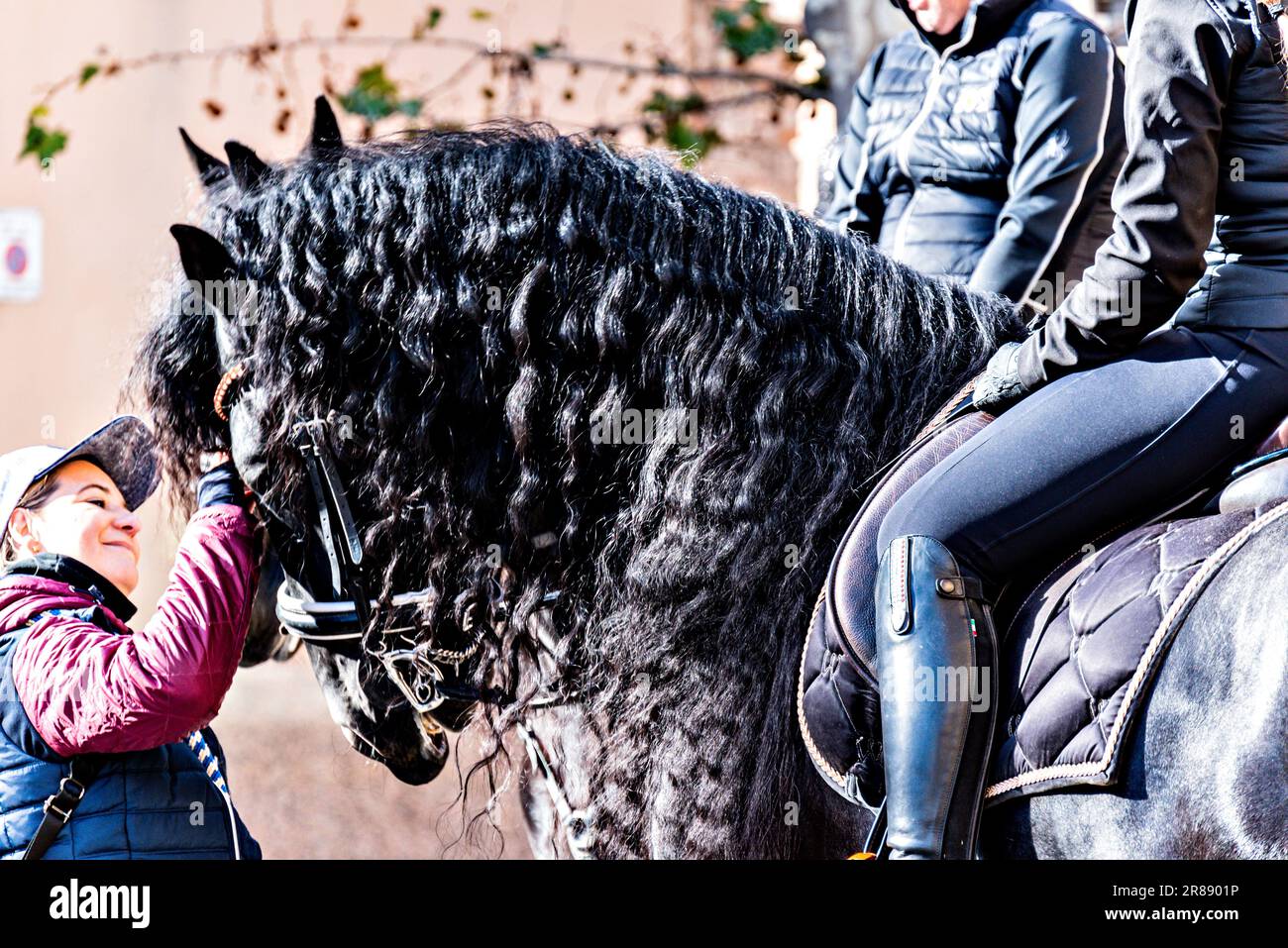 Parade of horses in the festival of the three graves in Igualada ...
