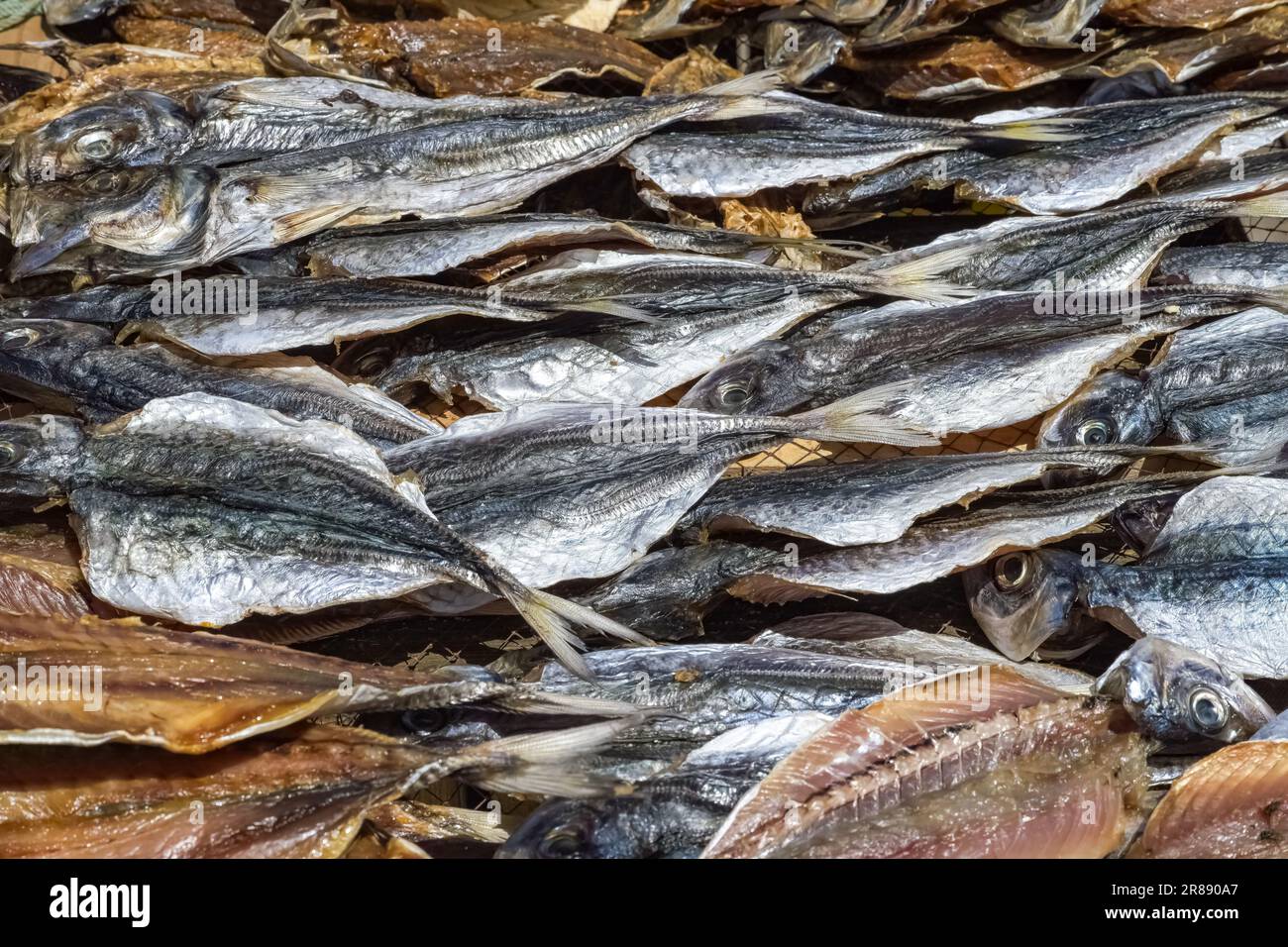 Nazare in Portugal, salted fishes sold on the beach, traditional market ...