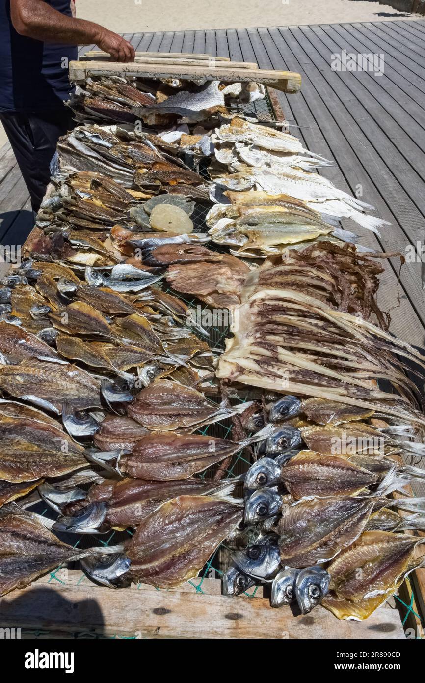 Nazare in Portugal, salted fishes sold on the beach, traditional market ...