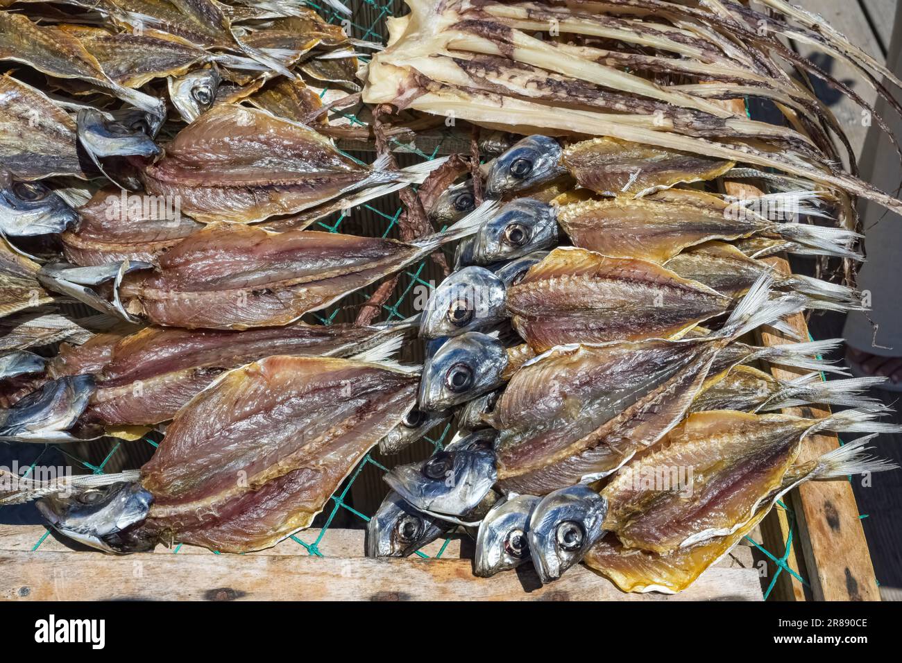 Nazare in Portugal, salted fishes sold on the beach, traditional market ...
