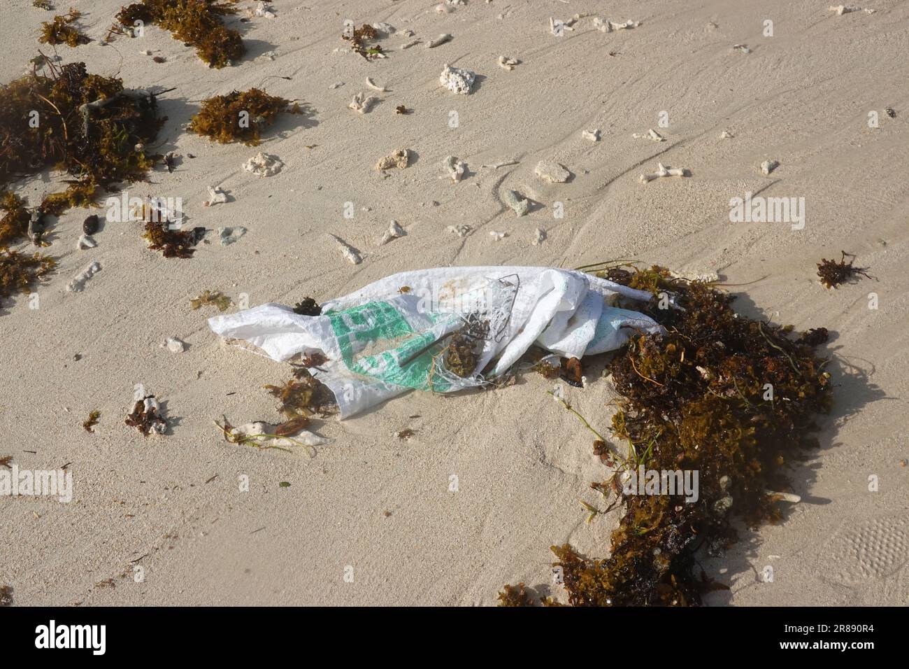Plastic waste, beach of Mauritius Stock Photo - Alamy