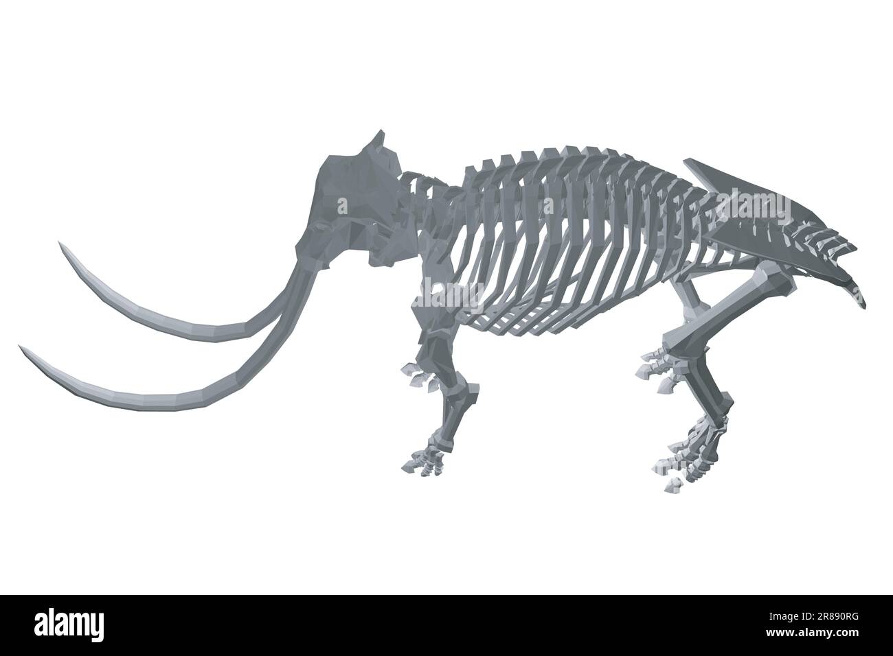Vector Illustration of polygonal Mammoth Skeleton on Isolated White ...