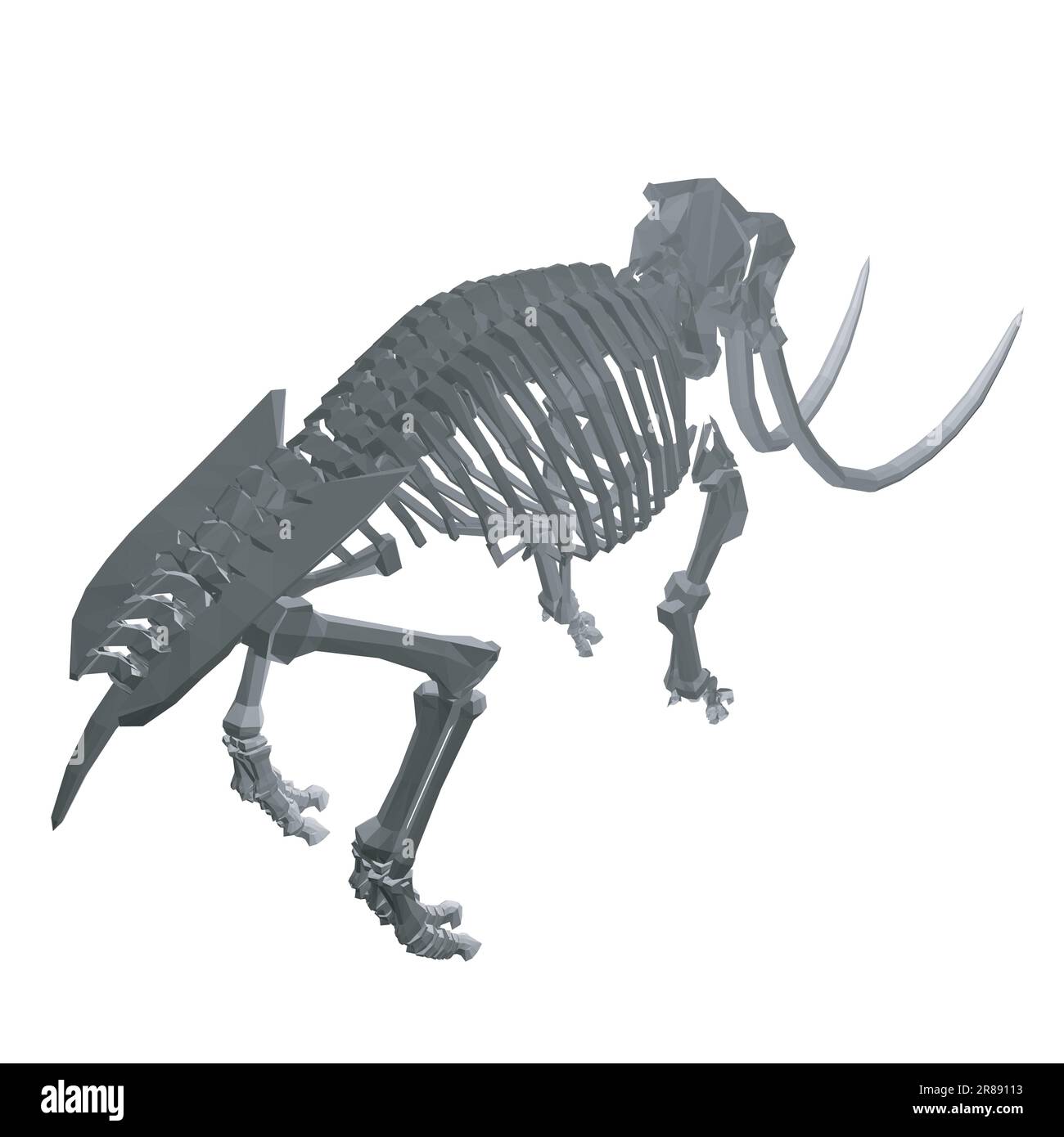 Vector Illustration of polygonal Mammoth Skeleton on Isolated White ...
