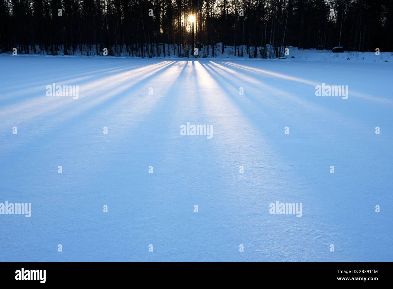 Rays of sun light on a frozen lake snow surface. Focus on foreground ...