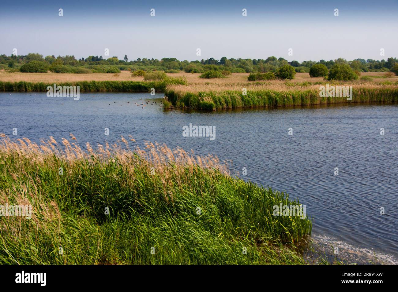 Strumpshaw fe hi-res stock photography and images - Alamy